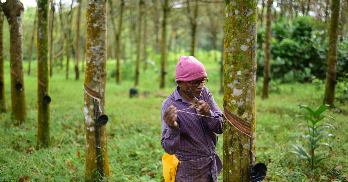 Fair Trade and the Fair for Life Certification | SleepOnLatex.com